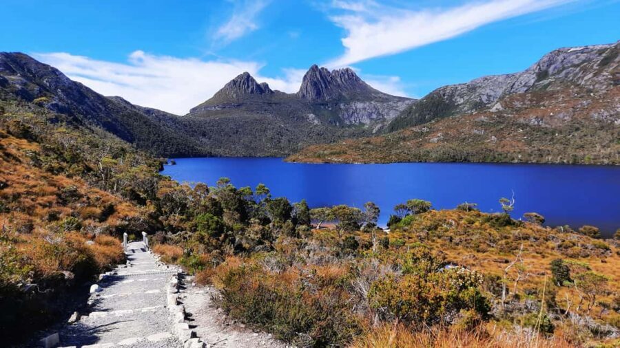 From Launceston: Sheffield Murals & Cradle Mountain Day Tour - The Sum Up