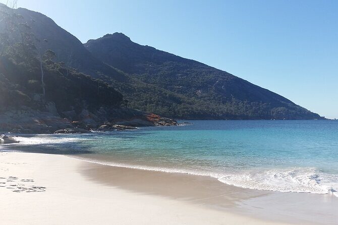 From Launceston: Wineglass Bay Explorer - Active Day Trip - Authentic insights from travelers