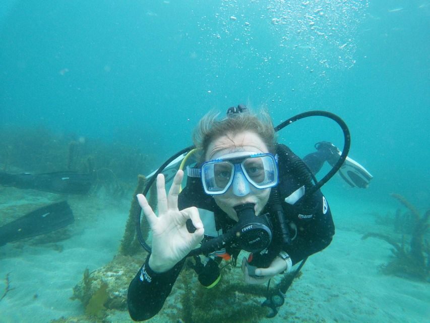 From Leigh: Goat Island Try Scuba Diving Experience - What to Expect from the Experience