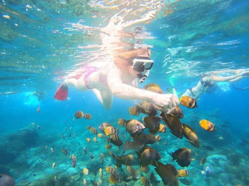 From Lembongan: Private Snorkeling Tour To Nusa Penida - What Makes This Snorkeling Tour Unique?
