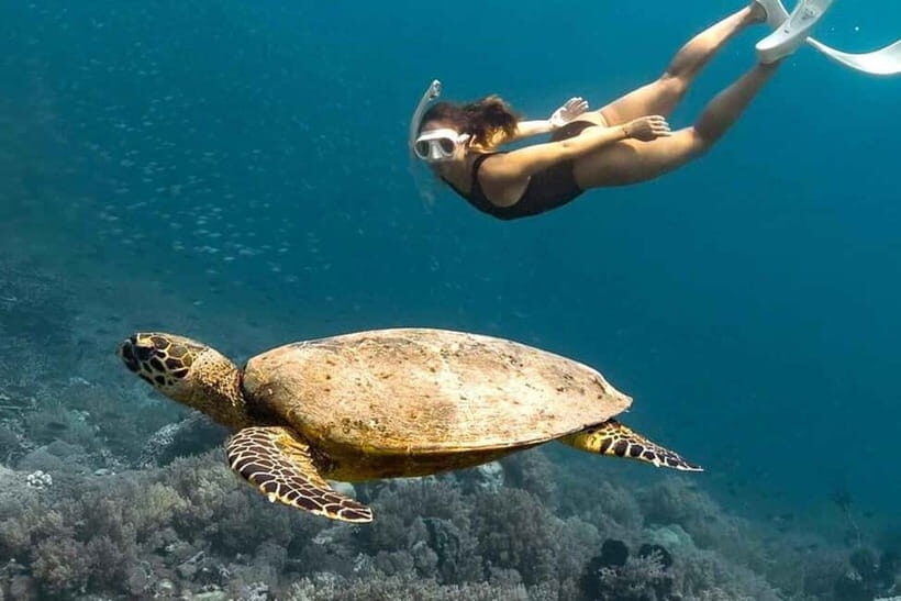 From Lombok: Full-Day Gili Gede, Rengit, & Layar Island Tour - The Sum Up
