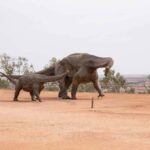 From Longreach: Outback Winton Full Day Tour - Australian Age of Dinosaurs Museum: A Dinosaur Lovers Dream