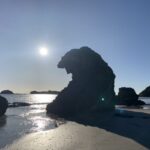 From Mackay: Wallabies on the Beach Sunrise Trip - The Value of the Tour