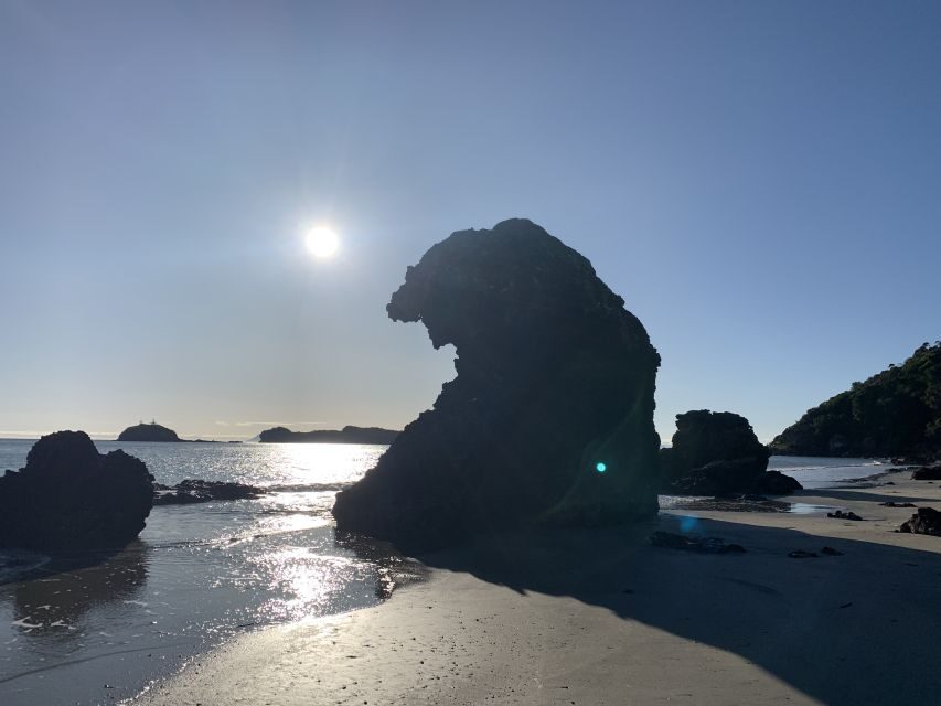 From Mackay: Wallabies on the Beach Sunrise Trip - The Value of the Tour