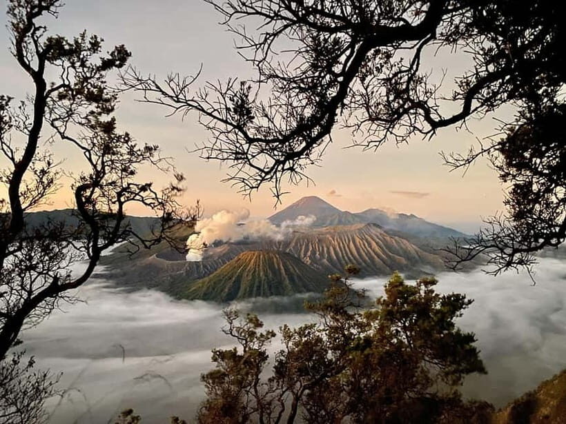 From Malang: Bromo Sunrise Jeep Tour - How the Tour Is Valued