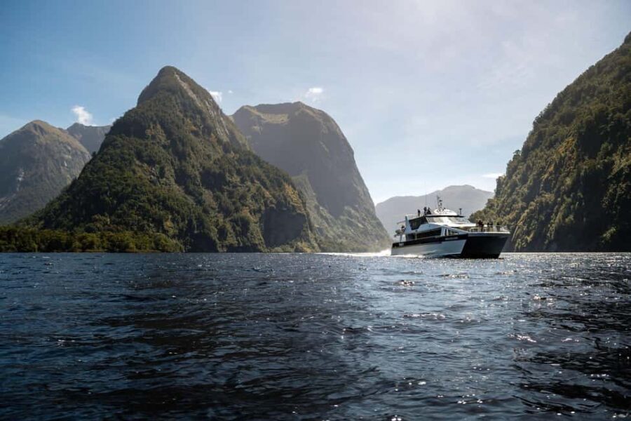 From Manapouri: Doubtful Sound Wilderness Day Trip - Who Is This Tour Best For?