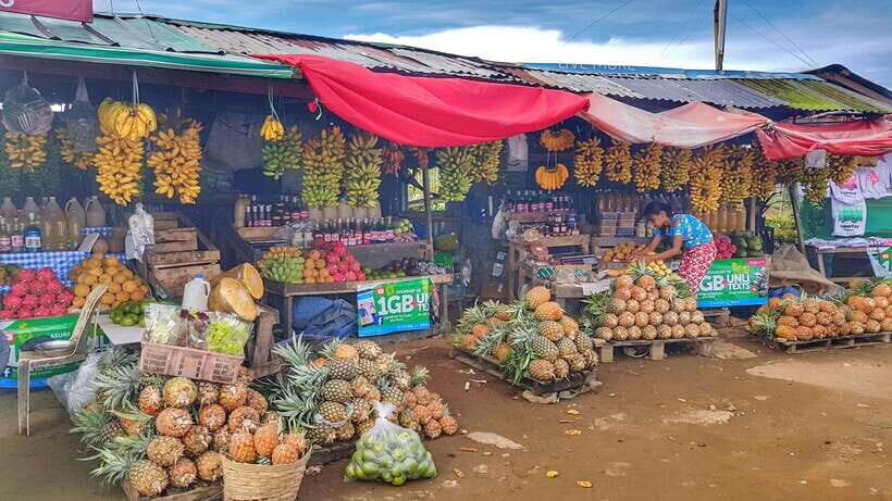 From Manila: Tagaytay Countryside Wonders: A Half-Day Tour - Scenic Lookouts and Taal Volcano