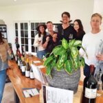 From Margaret River: Margaret River Wine Adventure - Who Should Consider This Tour?