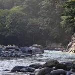 From Medan: Mount Leuser National Park Orang Utan Trip - Exploring the Jungle: What to Expect on the Trek