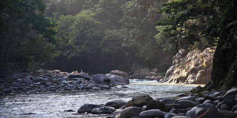 From Medan: Mount Leuser National Park Orang Utan Trip - Exploring the Jungle: What to Expect on the Trek