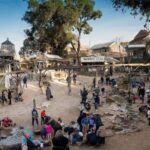 From Melbourne: Ballarat Wildlife Park & Sovereign Hill Tour - Key Points