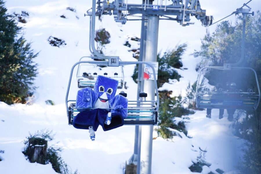From Melbourne: Day Trip to Mt Buller by Premium Tour Coach - Practical Information