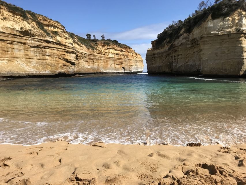 From Melbourne: Great Ocean Road Boutique Tour in Reverse - Transportation and Group Size