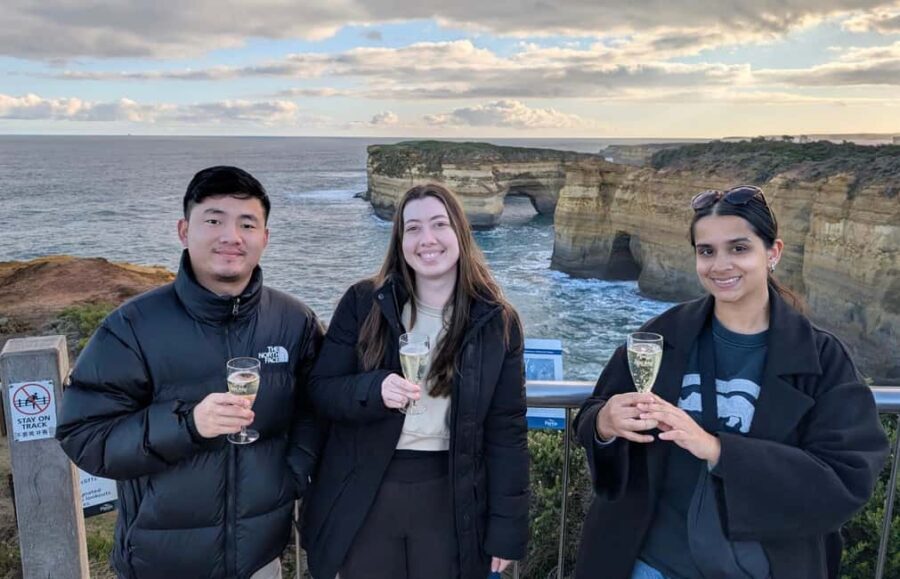 From Melbourne: Great Ocean Road, Dingos, Sparkling & Lunch - Who Will Love This Tour?