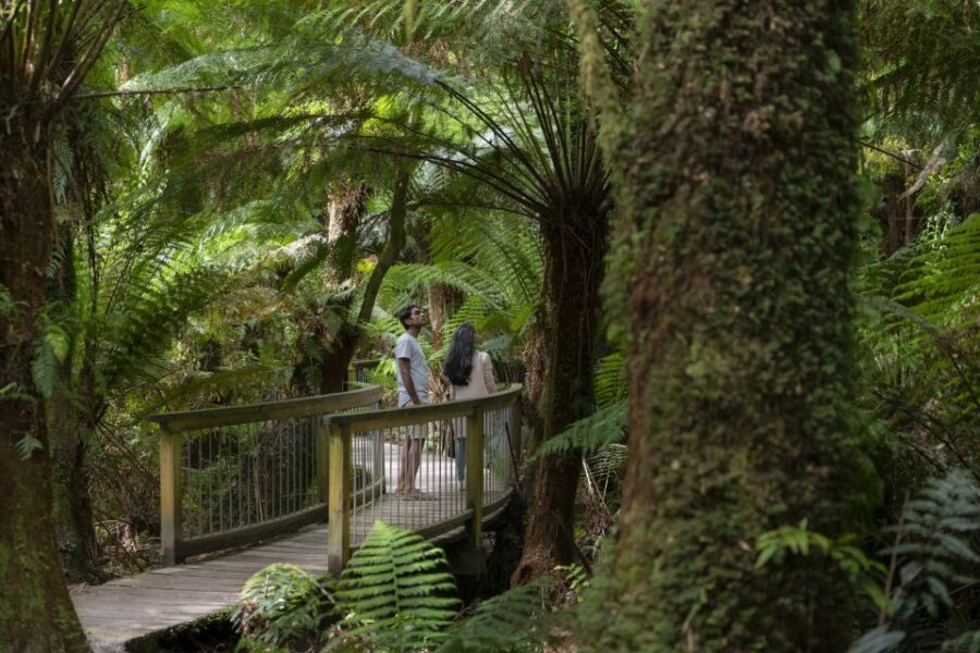 From Melbourne: Great Ocean Road Eco Tour with Lunch - What Makes This Tour Stand Out