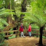 From Melbourne: Great Ocean Road Full-Day Guided Trip - Who Will Love This Tour?