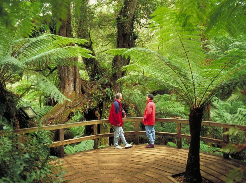 From Melbourne: Great Ocean Road Full-Day Guided Trip - Who Will Love This Tour?