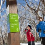 From Melbourne: Lake Mountain Snow Experience - The Scenic Walk to Steavenson Falls
