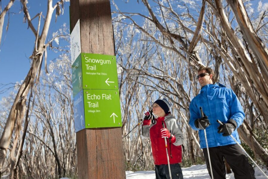 From Melbourne: Lake Mountain Snow Experience - The Scenic Walk to Steavenson Falls