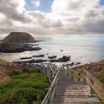 From Melbourne: Penguin Parade, Koalas & Kangaroos - Why This Tour Offers Good Value