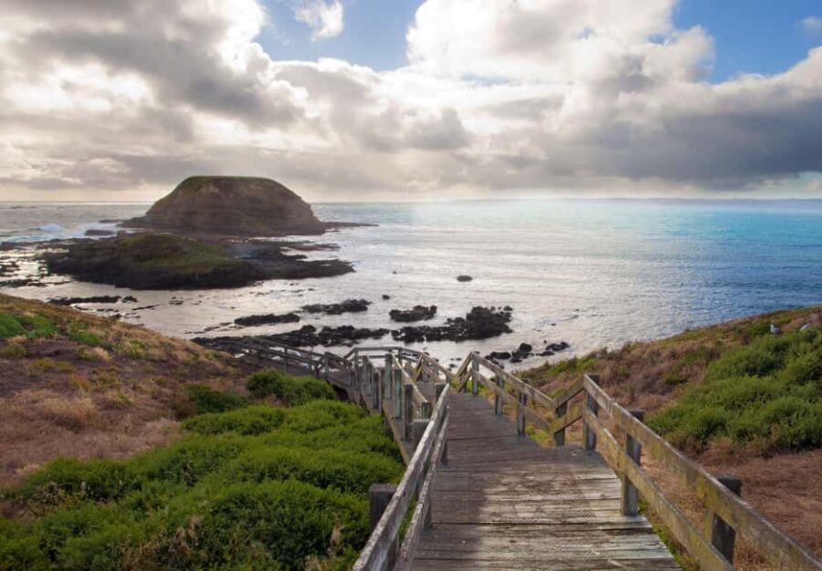 From Melbourne: Penguin Parade, Koalas & Kangaroos - Why This Tour Offers Good Value