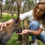 From Melbourne: Penguins and Wildlife Nature Day Tour - Itinerary Breakdown and What Youll Experience