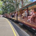 From Melbourne: Puffing Billy Private Tour - Up to 11 pax - The Sum Up