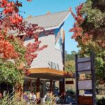 From Melbourne: Redwoods Forest & Yarra Valley Wine Tour - FAQ