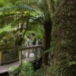 From Melbourne: Reverse Great Ocean Road Day Trip with Lunch - What’s Included and What to Expect