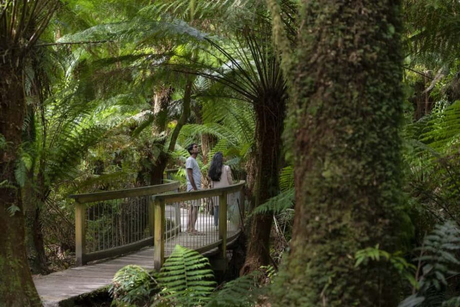 From Melbourne: Reverse Great Ocean Road Day Trip with Lunch - What’s Included and What to Expect