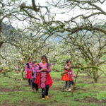 From Moc Chau: 3-Day Tea Farm and Waterfall Tour - Embracing Local Culture and Market Life