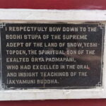 From Naddi: Guided Himalayan Nomad Culture & Nature Walk - The Forest and the Cultural Landmarks