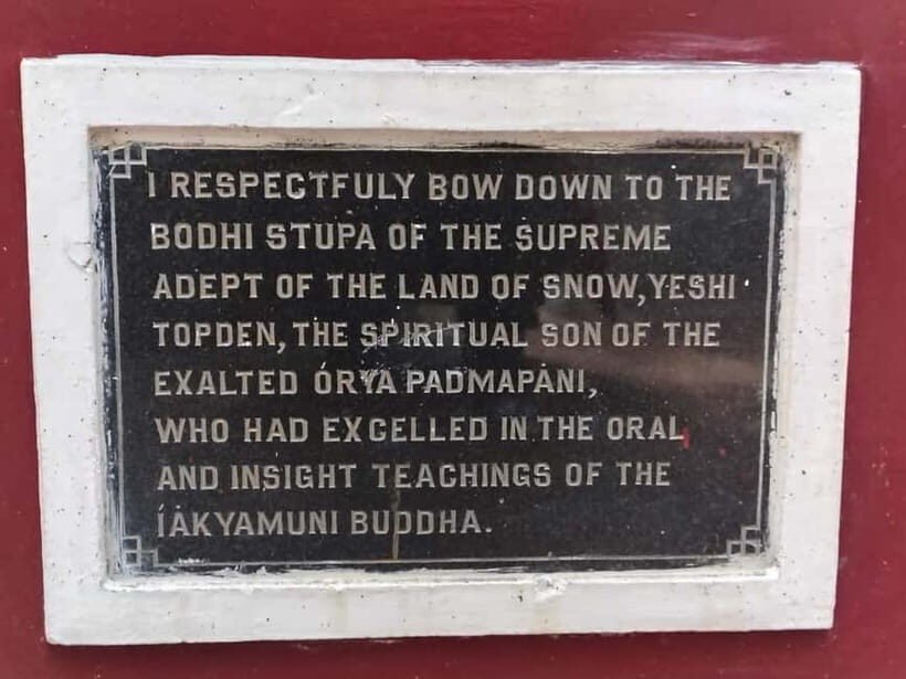 From Naddi: Guided Himalayan Nomad Culture & Nature Walk - The Forest and the Cultural Landmarks
