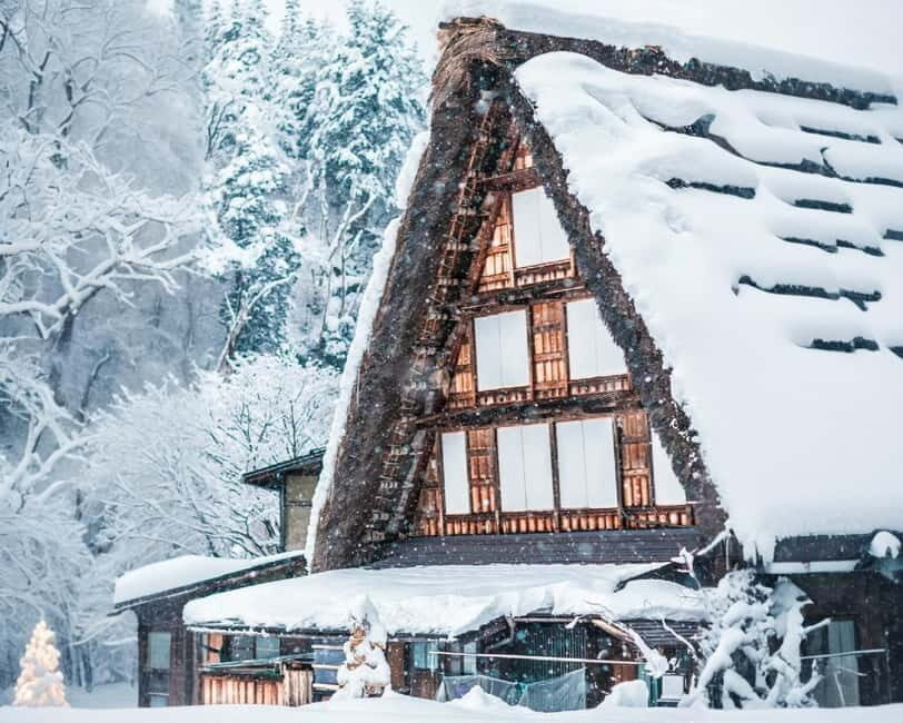 From Nagoya: Hida Takayama and Shirakawa-go Winter Day Tour - Who Will Love This Tour?