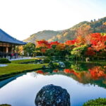 From Nagoya: Kyoto Day Tour with Kobe Beef Shabu-Shabu Lunch - What to Expect: Practical Details