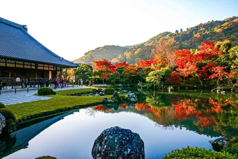 From Nagoya: Kyoto Day Tour with Kobe Beef Shabu-Shabu Lunch - What to Expect: Practical Details