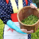 From Nagoya: Matcha, Confections, and Nishio Traditions Tour - Practical Tips for Making the Most of the Tour