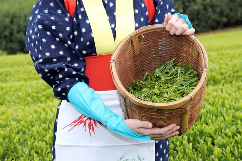 From Nagoya: Matcha, Confections, and Nishio Traditions Tour - Practical Tips for Making the Most of the Tour