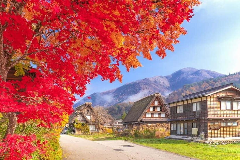 From Nagoya: Shirakawa-go & Hida-Takayama Full Day Trip - Practical Details and Value