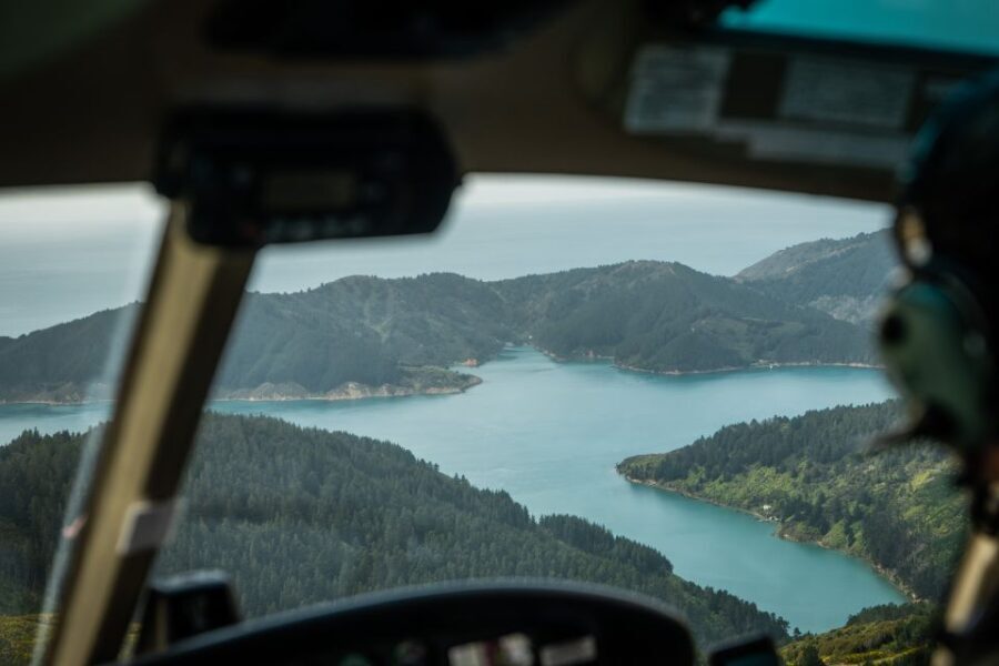 From Nelson: Marlborough Sounds Scenic Helicopter Flight - Practical Details and Expectations