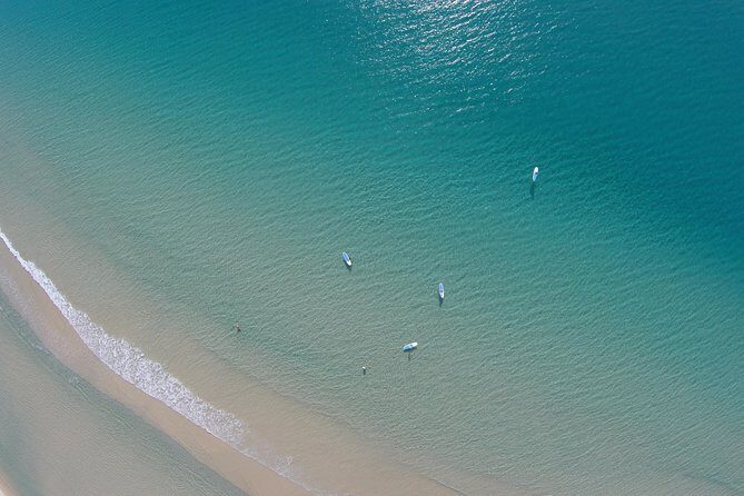 From Noosa: Stand Up Paddle Wildlife & Beach 4X4 Adventure - Practical Details & What You Need to Know