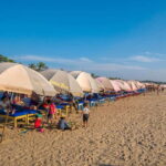 From North Goa: Full Day North Goa Tour with Transportation - Practical Details and Insights