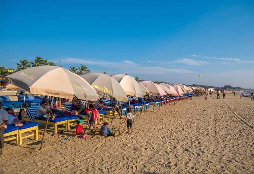 From North Goa: Full Day North Goa Tour with Transportation - Practical Details and Insights