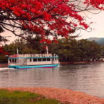From Osaka/Kyoto: Amanohashidate Day Tour with Lunch - The Boat Ride and Panoramic Views