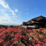 From Osaka/Kyoto: Kyoto UNESCO World Heritage Sites Day Tour - The Logistics & Group Experience
