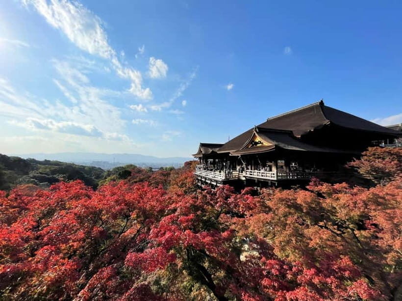 From Osaka/Kyoto: Kyoto UNESCO World Heritage Sites Day Tour - The Logistics & Group Experience