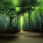 From Osaka/Kyoto: Private Kyoto & Nara Day Trip with Pickup - What’s Included and What’s Not