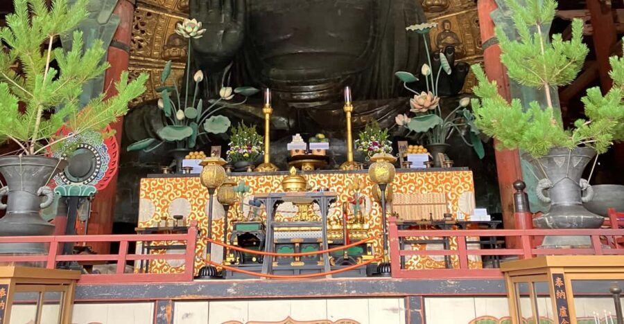 From Osaka: Nara Private Tour with Meet-Up at Your Hotel - Exploring Nara’s Historic Heart