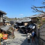 From Osaka: Private Customizable Day Tour to Kyoto - The Value of Flexibility and Comfort