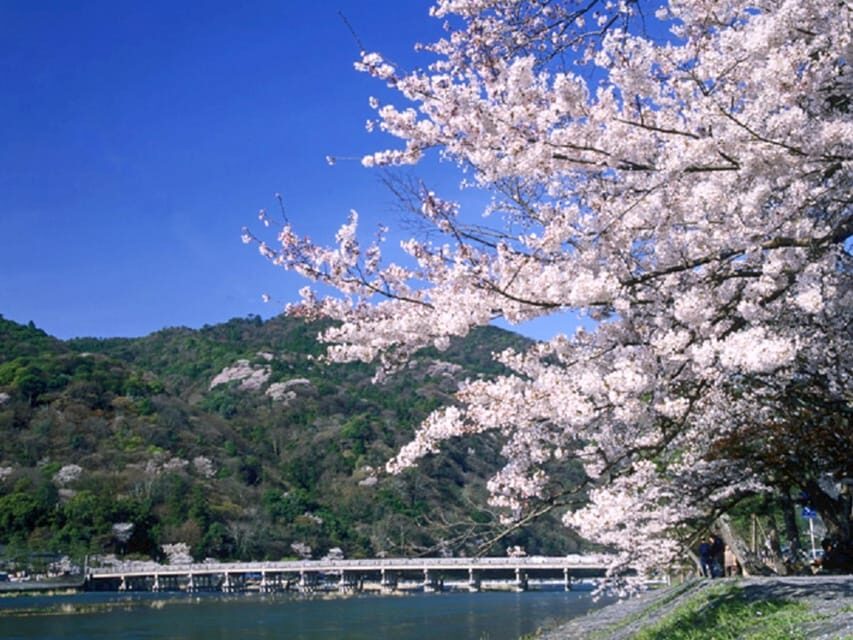 From Osaka: Sagano Train Ride and Kyoto Guided Day Tour - Final Thoughts